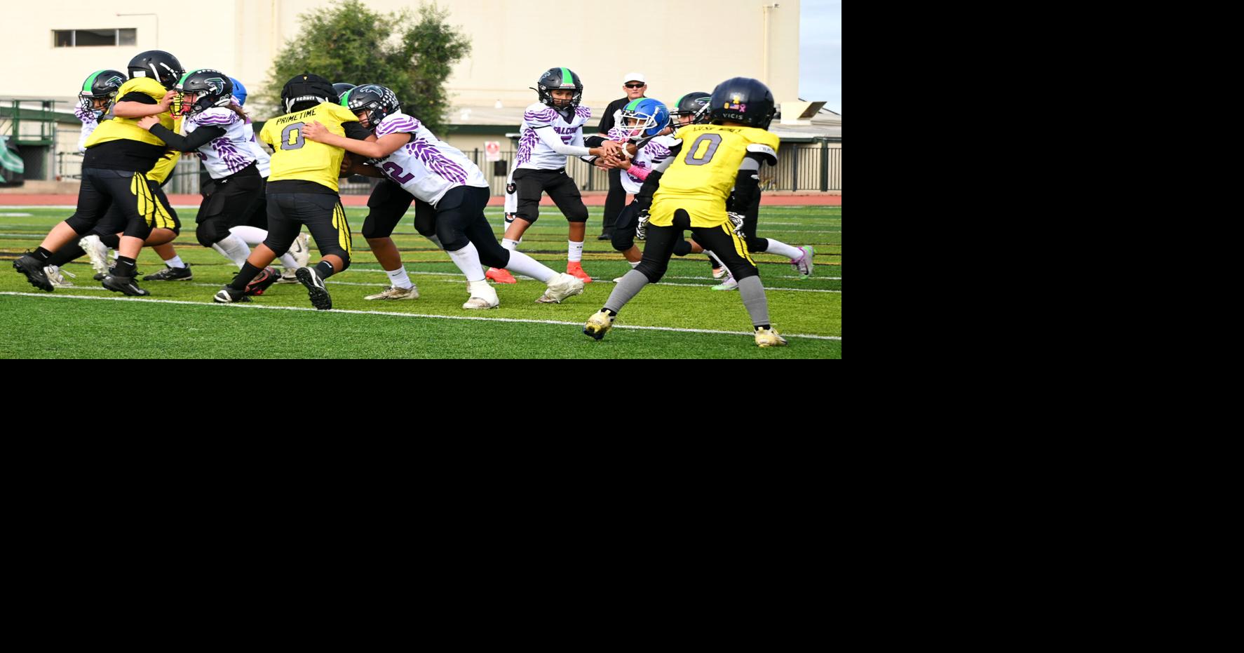 805 Ducks defeat Cheehoo Falcons at Winter Classic youth football ...