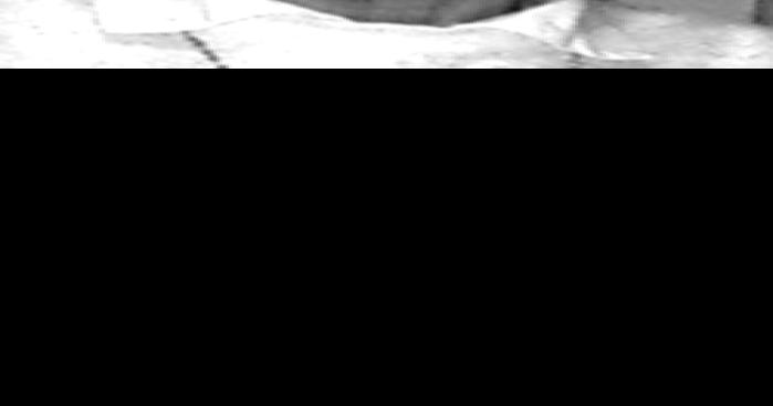 Lia B. Chait | Obituaries | santamariatimes.com