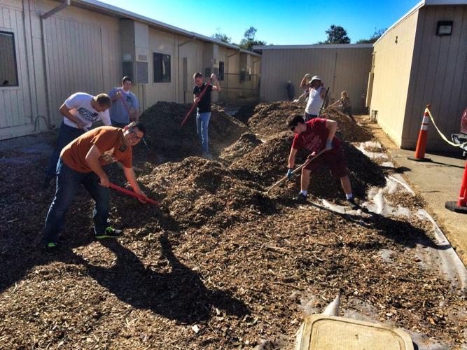 Fillmore community beautifies campus | Local | santamariatimes.com