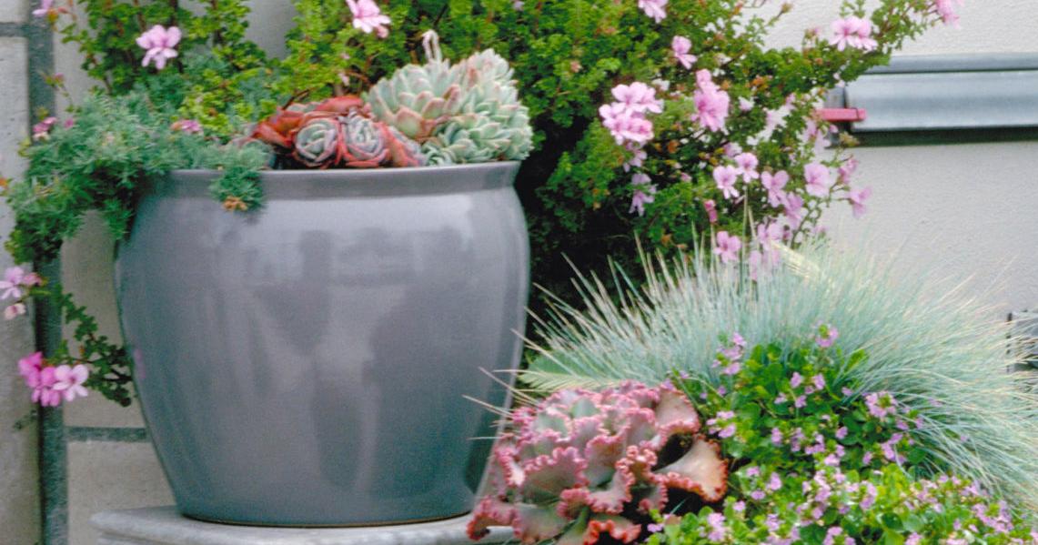 Santa Maria Library offering painted gardening pot workshop and kits ...