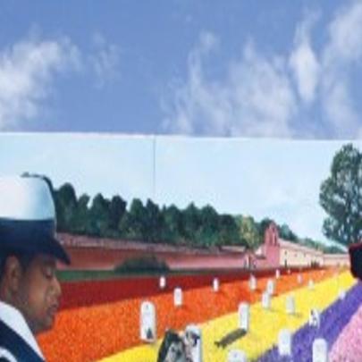 Lompoc Flower Fields American Flag | Best Flower Site