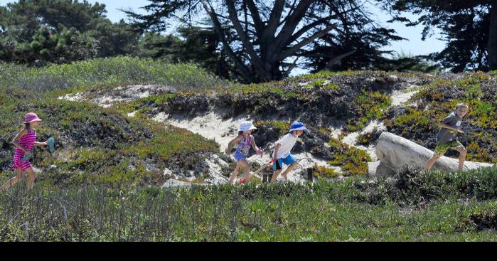 State park workers plan for Labor Day | Local News | santamariatimes.com