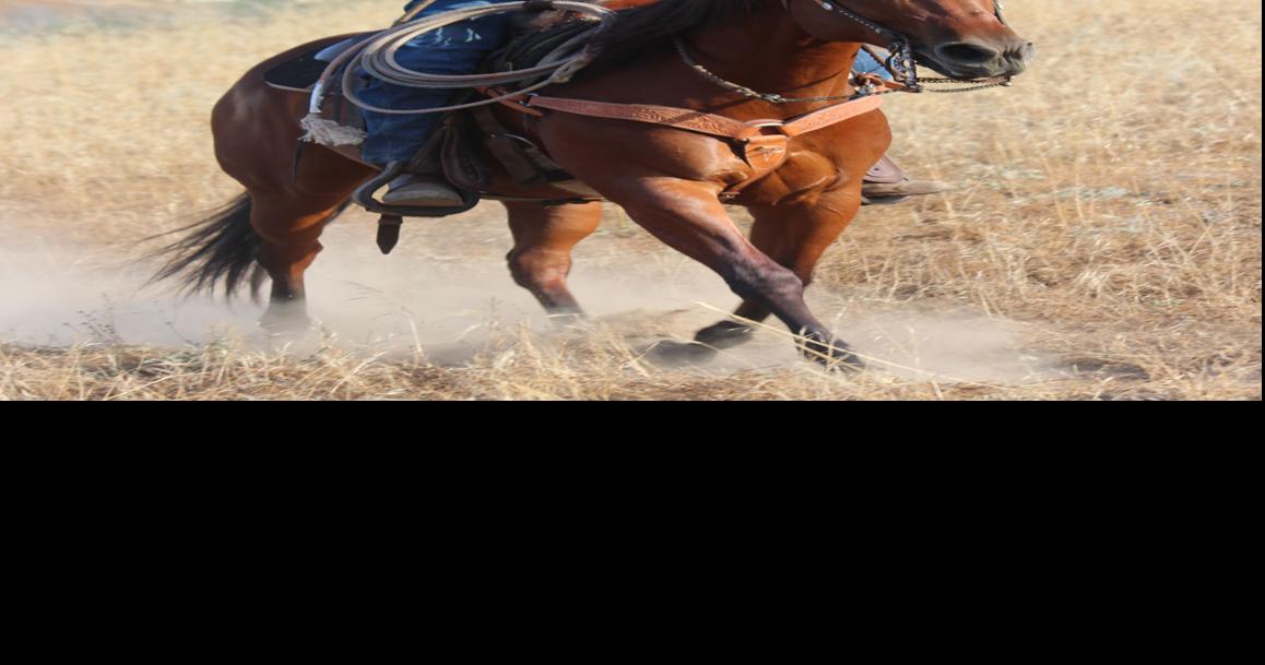 Paul Righetti named Vaquero of the Year by Santa Ynez Valley Historical ...