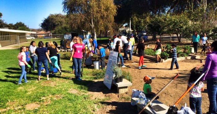 Fillmore community beautifies campus | Local | santamariatimes.com