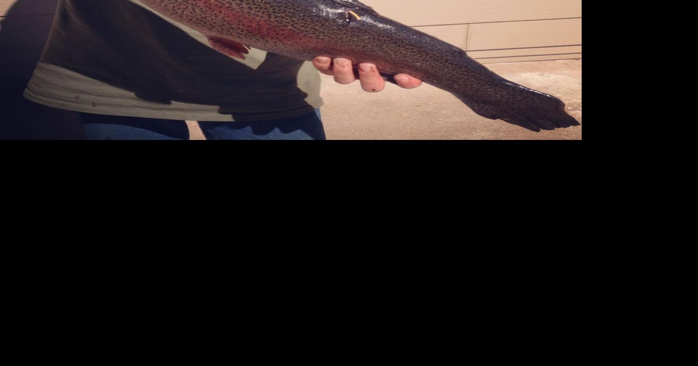 First trout plant of season planned at Cachuma Lake | Local News ...