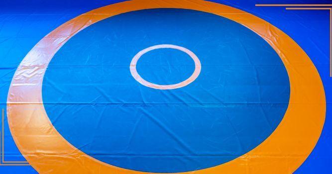Sendejas, Dawson, Bird, Alvaro earn top boys league wrestling honors ...