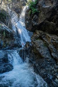 Ugo Humbert pulls out of Davis Cup tie with France to focus on upcoming ...