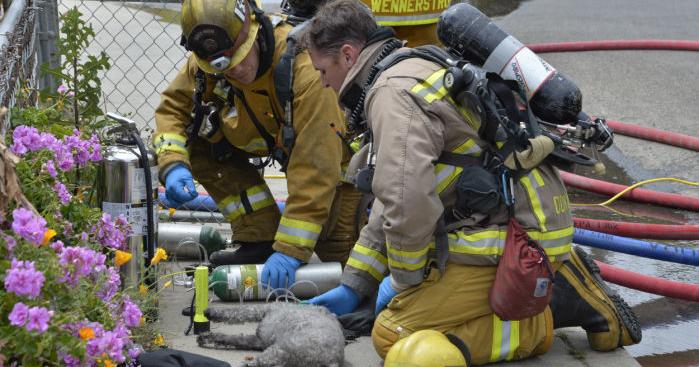 Dog killed, four displaced in Santa Maria house fire | Local News ...