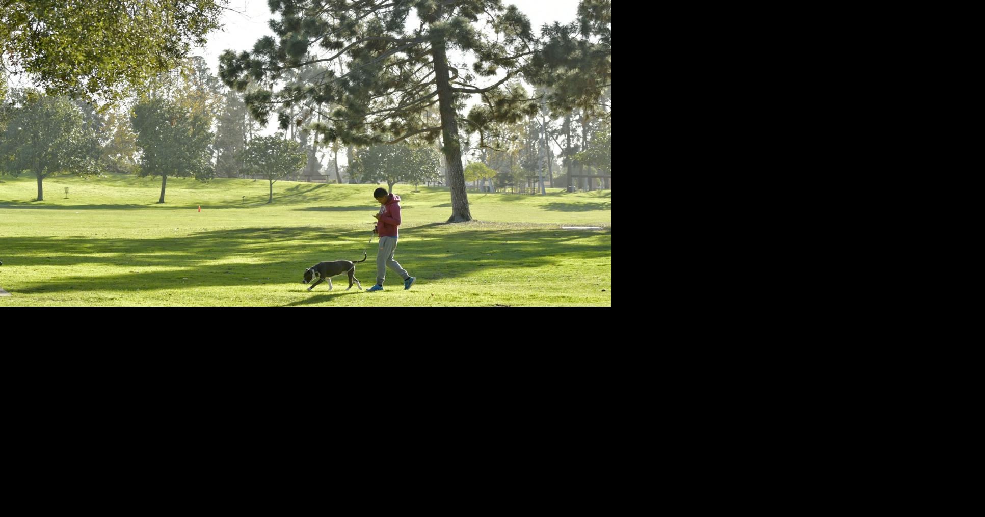 Santa Maria resident admits to poisoning city tree with weed killer ...