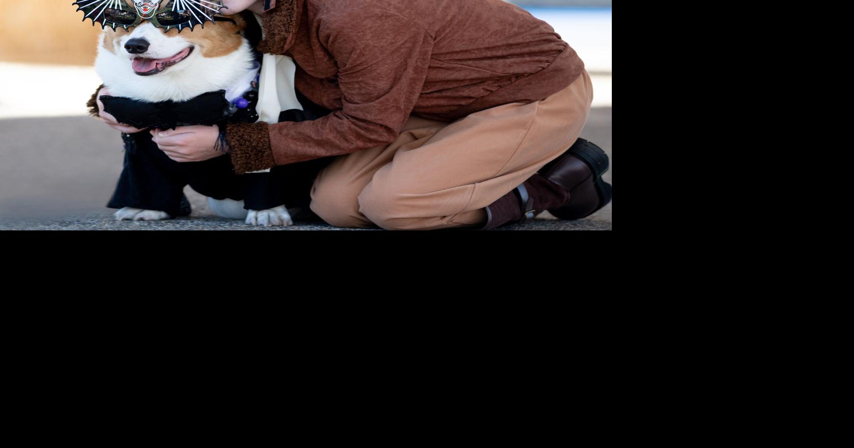 Costumed kids, pets parade through Solvang Park for Halloween fun ...