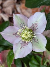 Miami Heat’s Terry Rozier asks judge to throw out betting charges ...