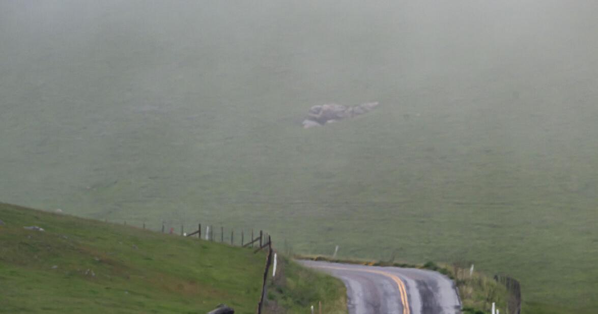 Typical June weather pattern to persist through Thursday | Central ...