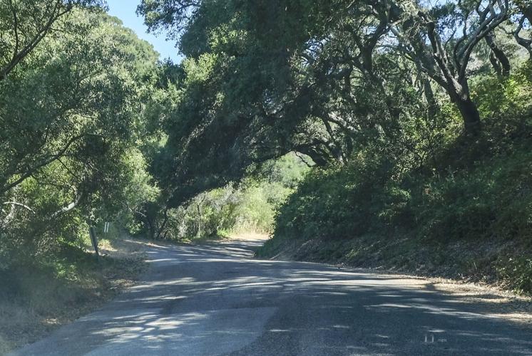 County to consider step toward wind energy project near Lompoc | Local ...