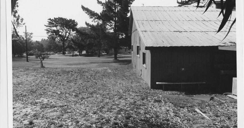 The history of Waller Park | Shirley Contreras- Heart of the Santa ...