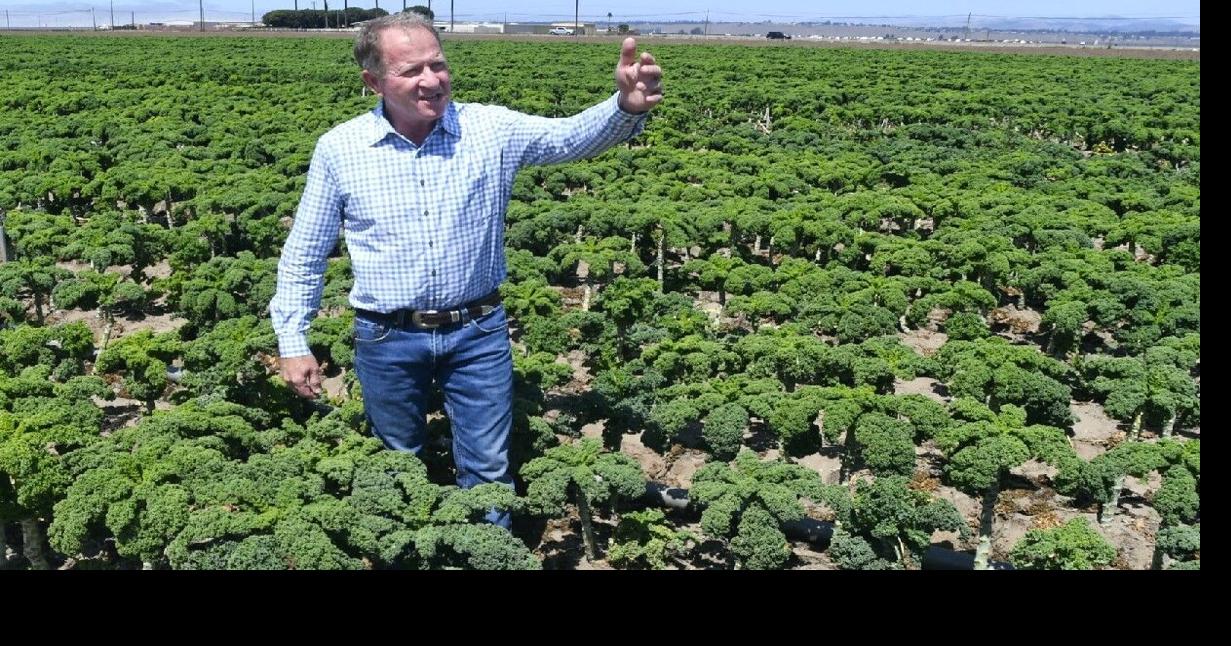 Santa Barbara County Planning Commission honors Larry Ferini on his ...
