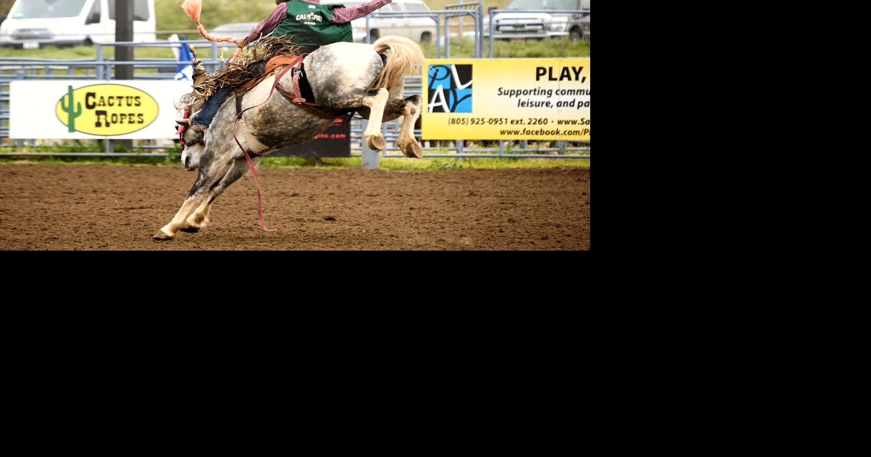 Hancock's Spring Roundup College Rodeo takes over Elks Event Center in ...