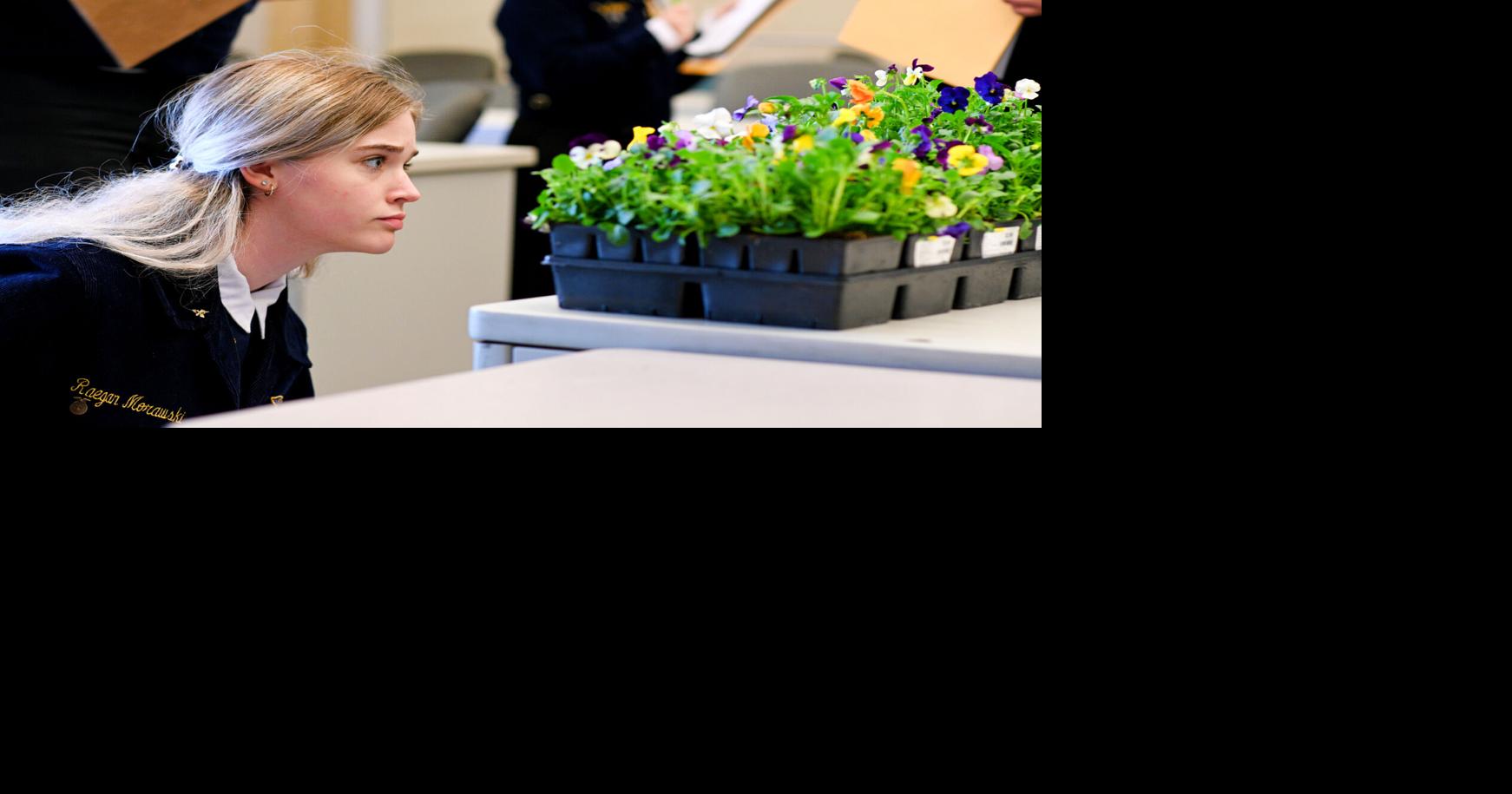 FFA Field Day draws students statewide for ag, science activities ...