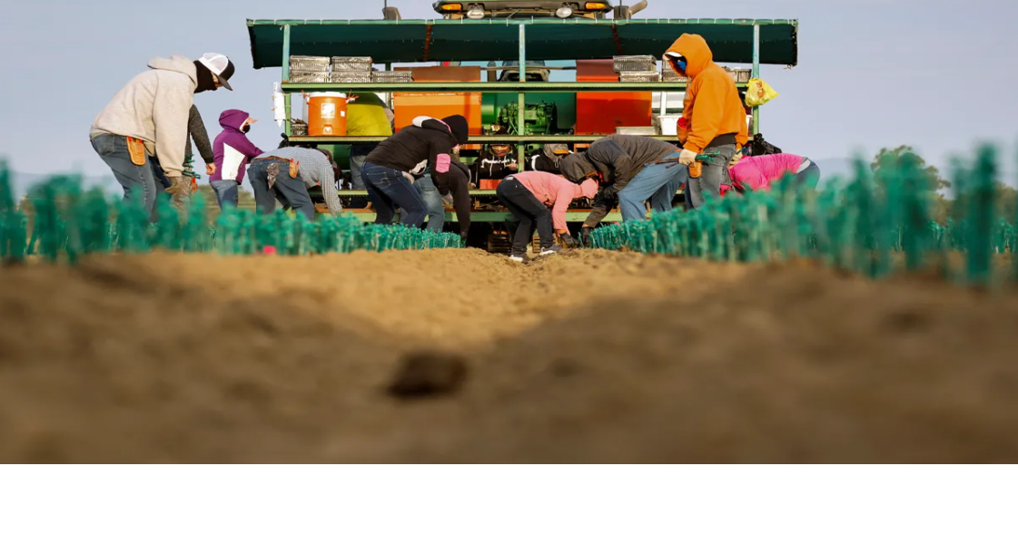 California’s farmworkers in labor investigations will get free legal ...