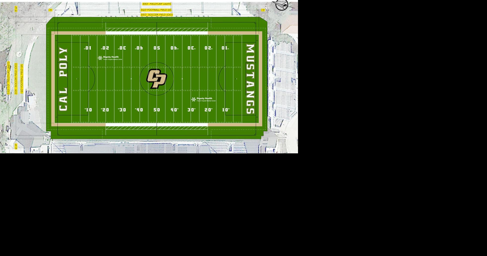 Natural grass at Alex G. Spanos Stadium to be replaced with FieldTurf ...