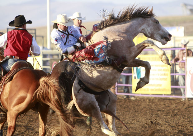 Tradition thrills at Elks Rodeo | Rodeo | santamariatimes.com