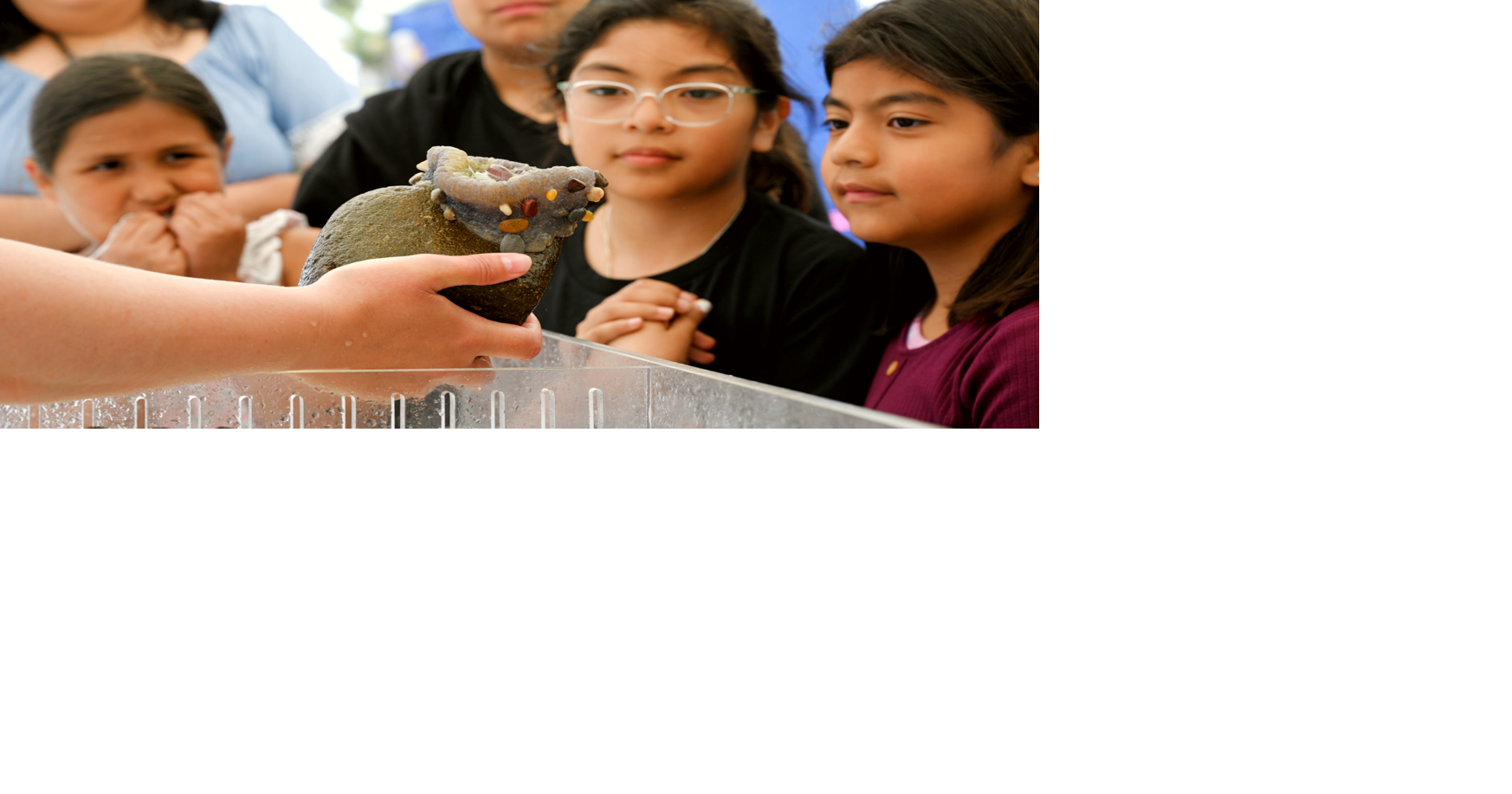 Santa Maria's Natural History Museum hosts Earth Day event | Local News ...