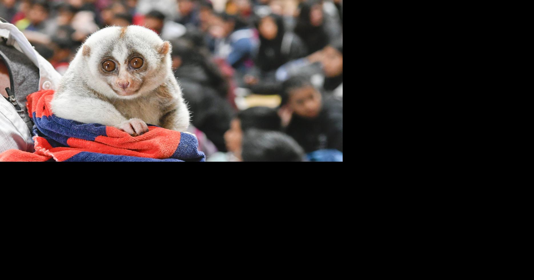 Wild world: Outreach program brings zoo to Fesler Junior High School ...