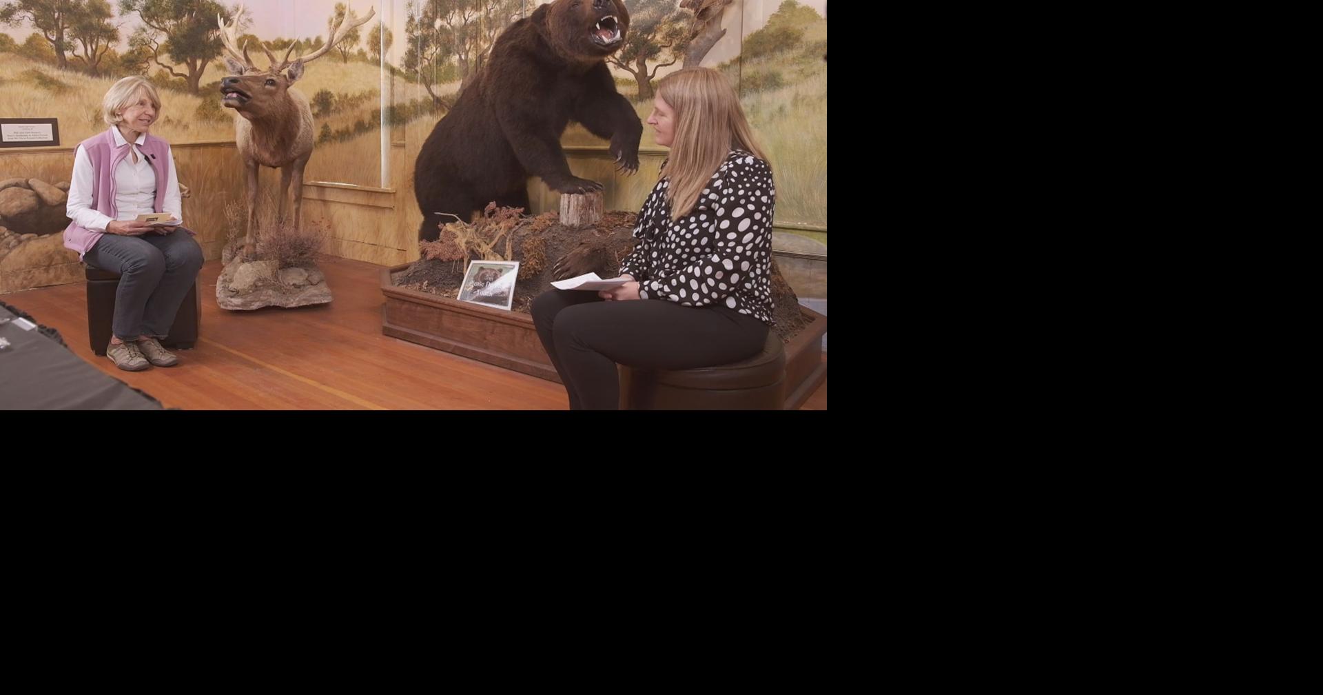 Santa Maria Natural History Museum reopens, bringing students, adults ...