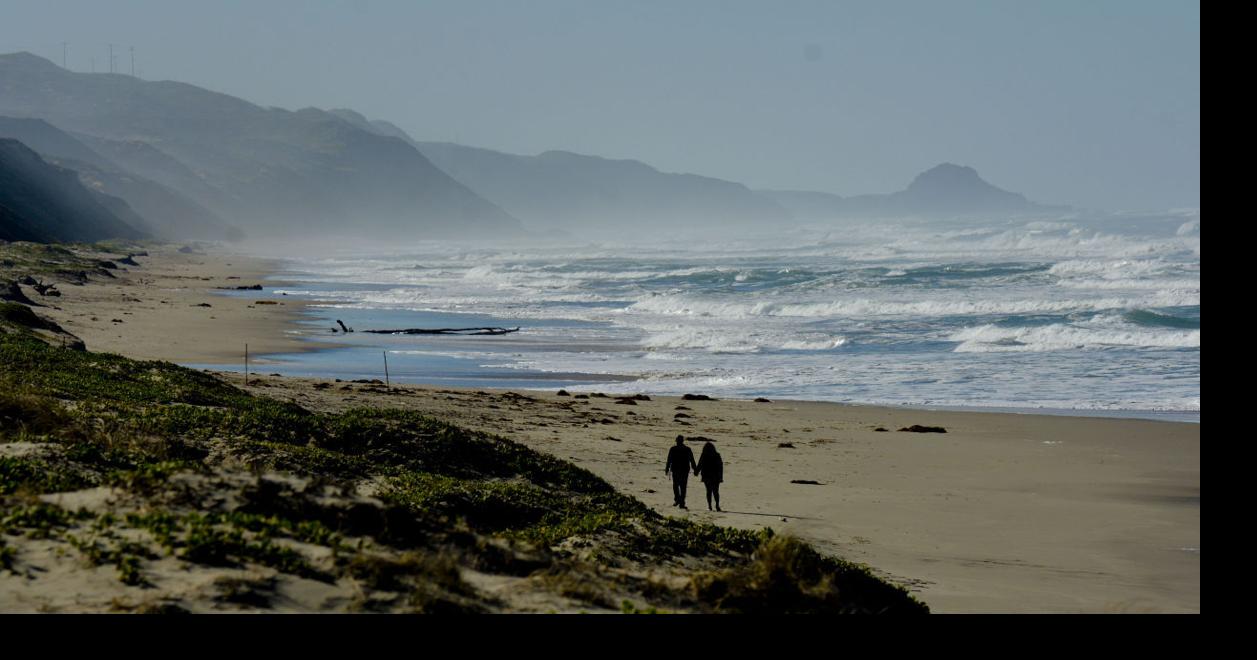 VAFB engineers to restore snowy plover habitats | Vandenberg Space ...
