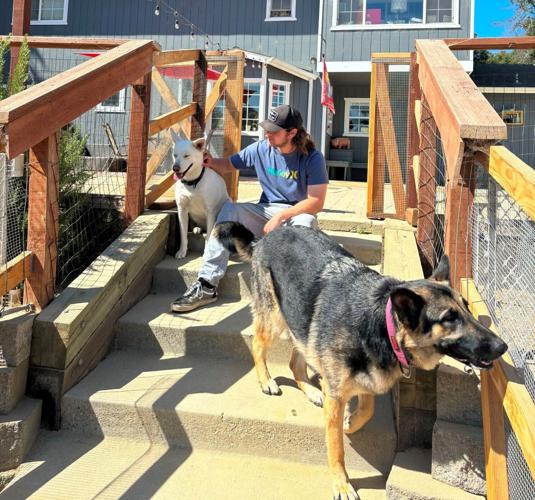 At Posh Pet Sitting pets are ‘having a vacation also’ | Business ...