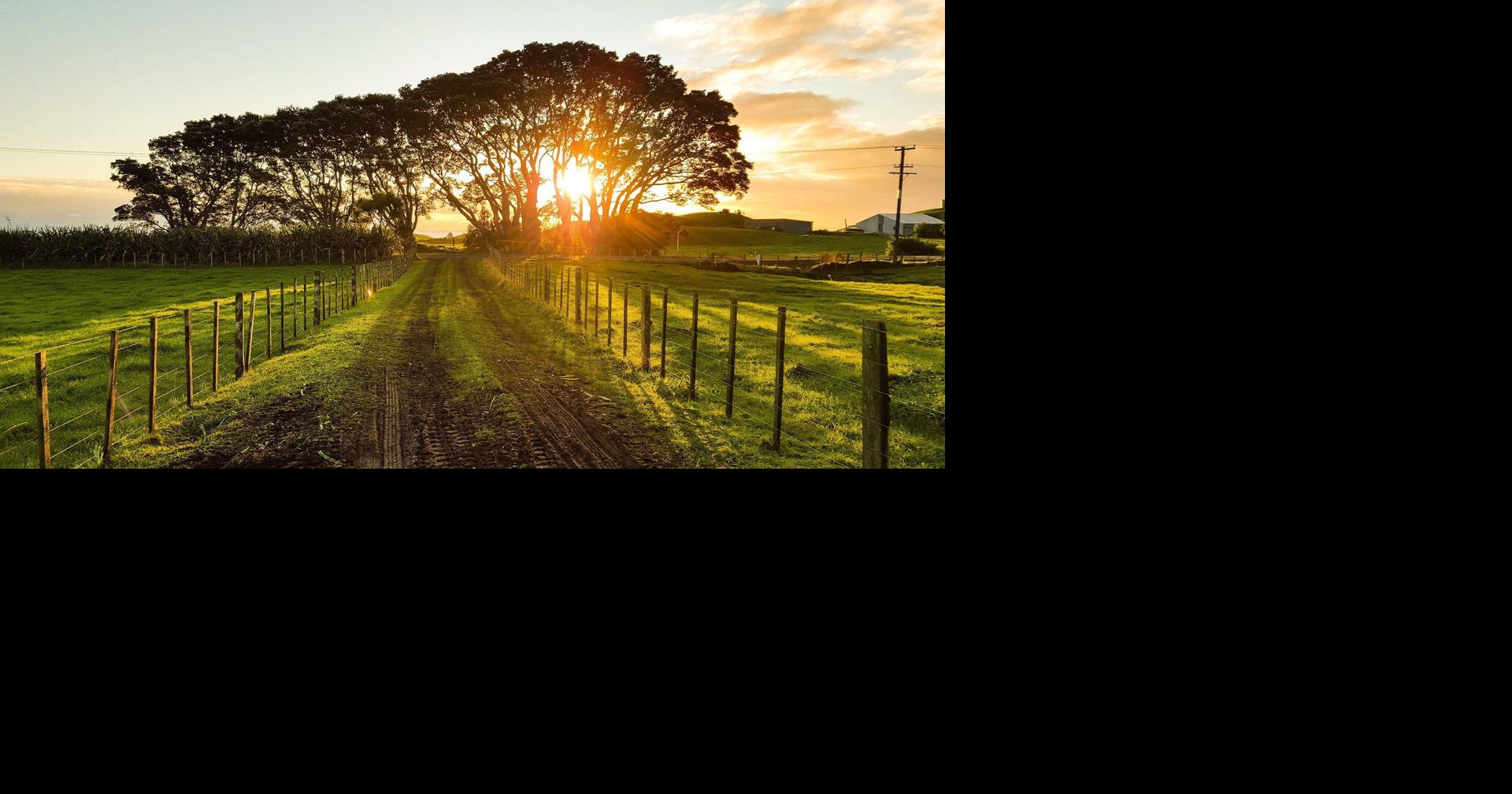 Scott Fina: Making peace with nature | Columnists | santamariatimes.com