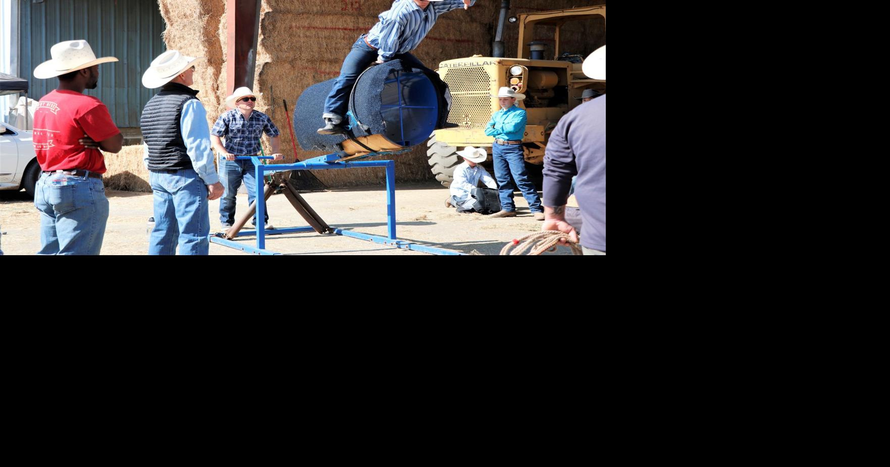 'King of the Cowboys', Cotton Rosser, providing rough stock for this ...