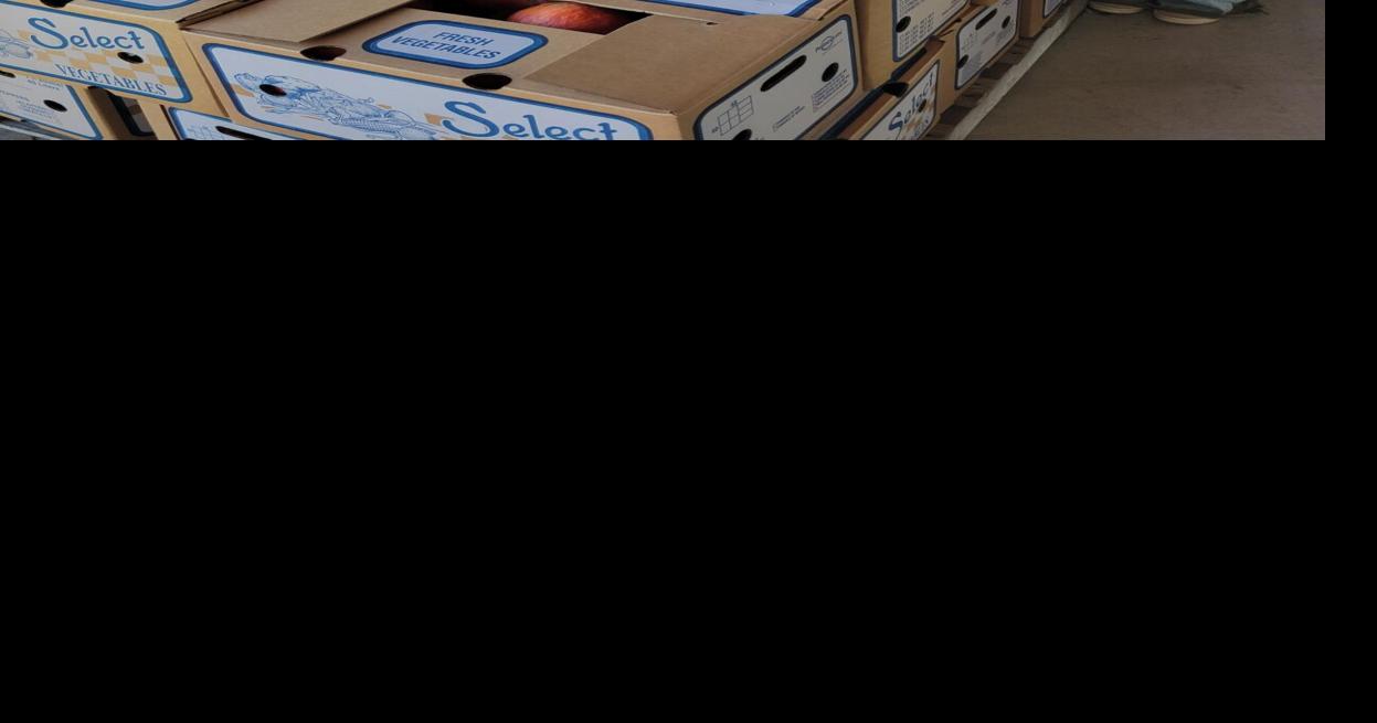 Area ag students donate 100 boxes of vegetables to local food banks ...