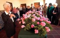 Move over barbecue, here comes Santa Maria-style geranium | Local News ...