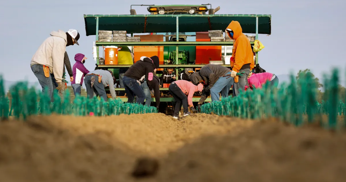 Challenging times in agriculture, and staying positive | Kevin Merrill ...