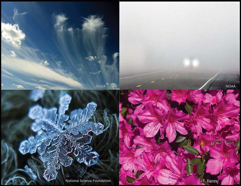 March weather: the good, the bad, and the unusual | News | seacoastecho.com