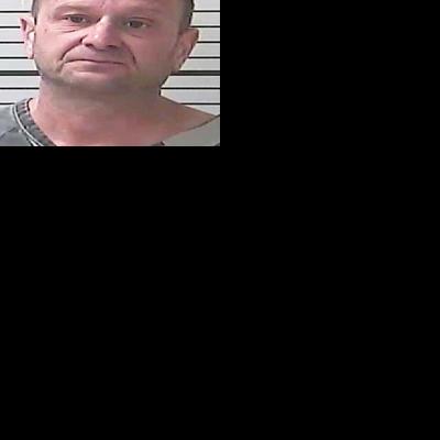 Bay PD, deputies arrest local man and seize dogs after attack | News ...