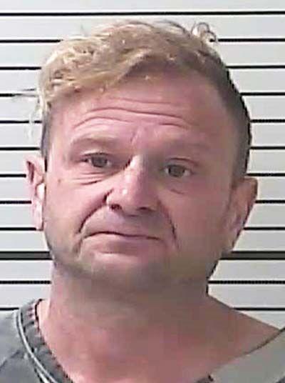 Bay PD, deputies arrest local man and seize dogs after attack | News ...