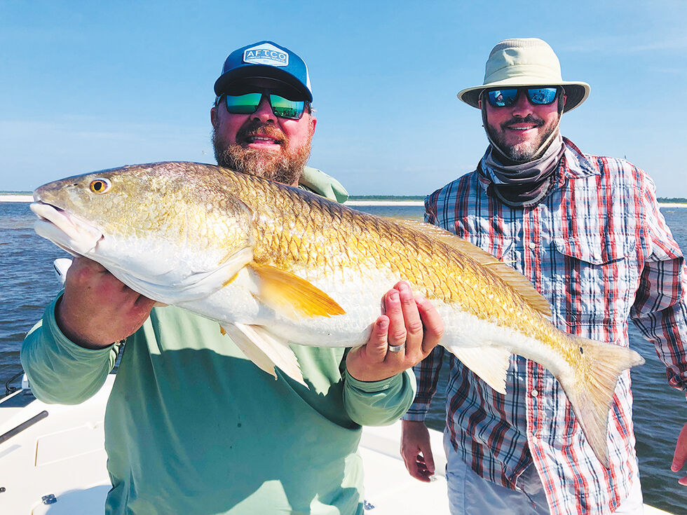 Shore Thing: Back in Black | Sports | seacoastecho.com