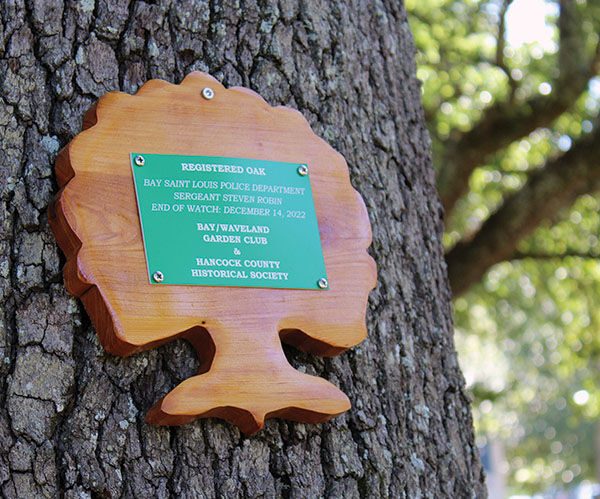 Live oaks dedicated to fallen Bay police officers | News | seacoastecho.com