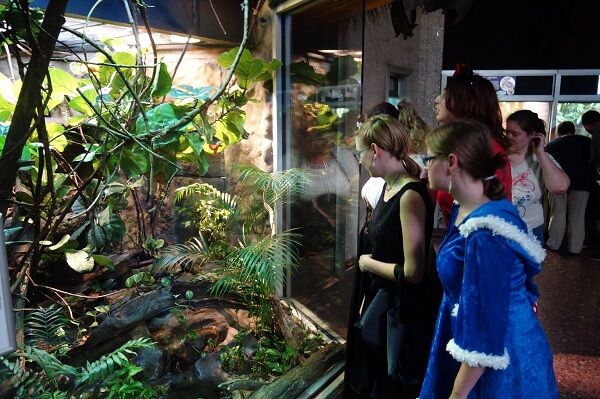 7 Fun Halloween 2019 Events in Metro Detroit | Culture ...