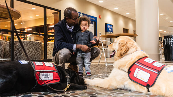 4-Legged Doctors: How Therapy Dogs Can Be the Best Medicine | Health ...