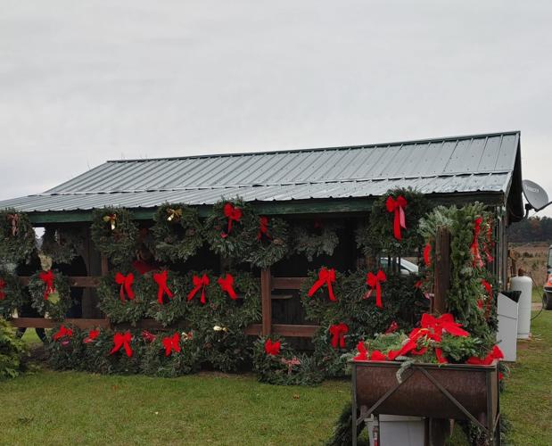 Christmas Tree Farms in Metro Detroit | Culture | seenthemagazine.com