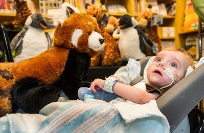 Detroit Zoo Stuffed Animals Donation to Motts Children Hospital ...