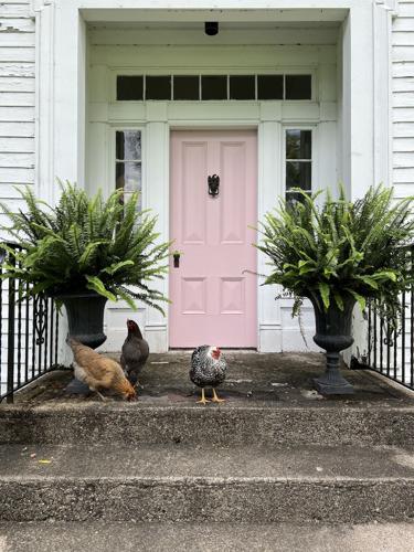 Farrand Hall Offers World-Class Cuisine in the Michigan Countryside ...