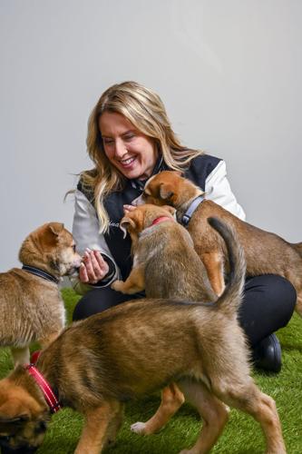 Kristina Millman-Rinaldi Saves Dogs and Humans Through Detroit Dog ...