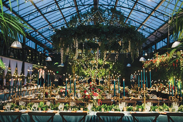 Let It Grow: Shane Pliska and the Story Behind Planterra Conservatory ...