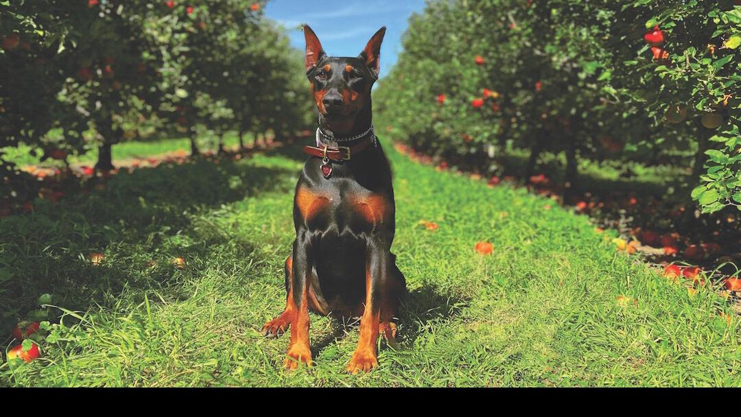 seenthemagazine.com | SEEN Magazine