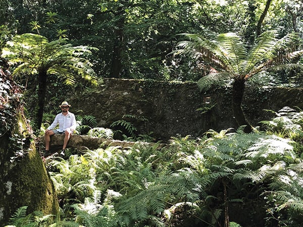 Let It Grow: Shane Pliska and the Story Behind Planterra Conservatory ...