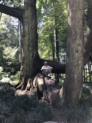 Let It Grow: Shane Pliska and the Story Behind Planterra Conservatory ...