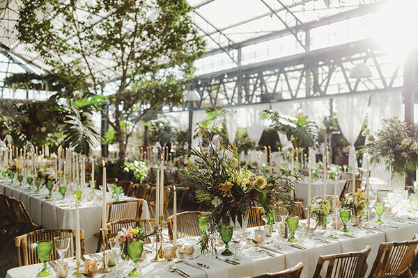 Let It Grow: Shane Pliska and the Story Behind Planterra Conservatory ...